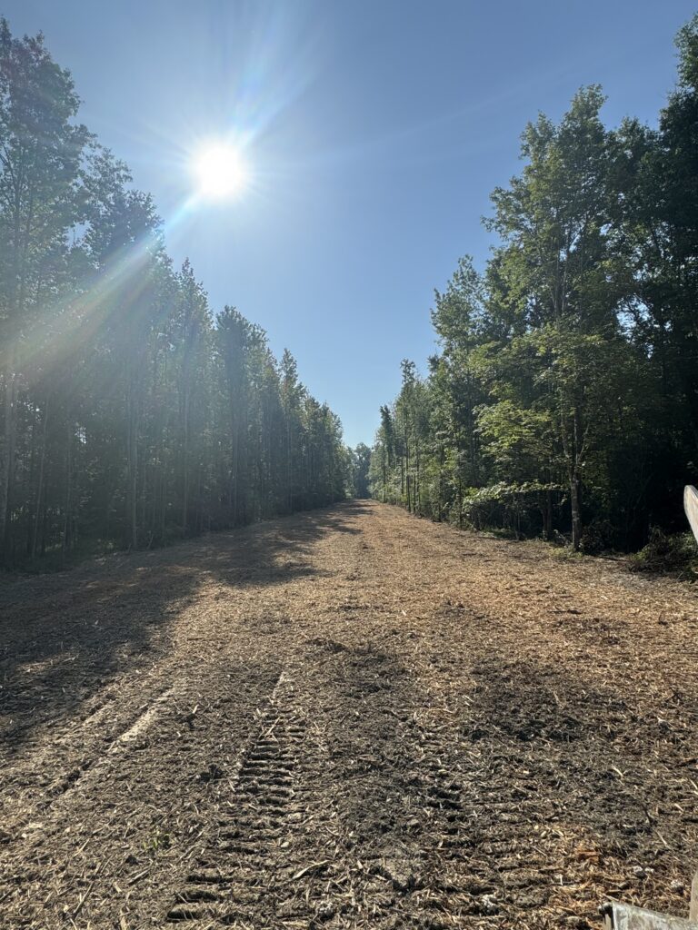 Right-of-Way Clearing Hammond LA | Pipeline & Utility